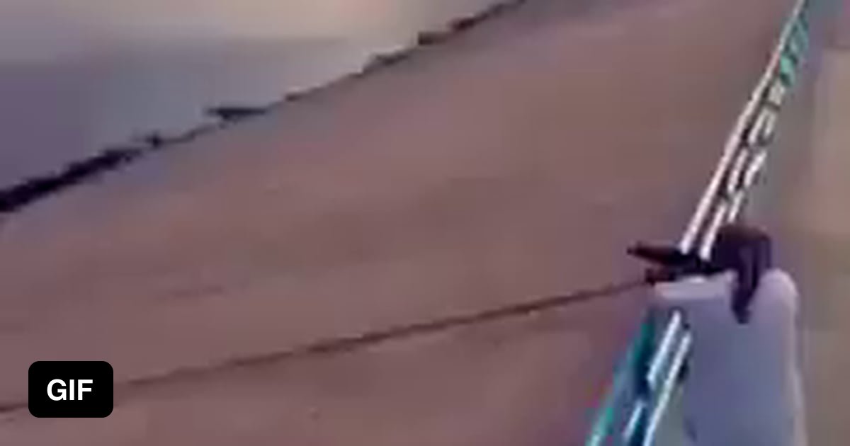 Bullets ricochet off water at a low angle of aim, water impact physics ...