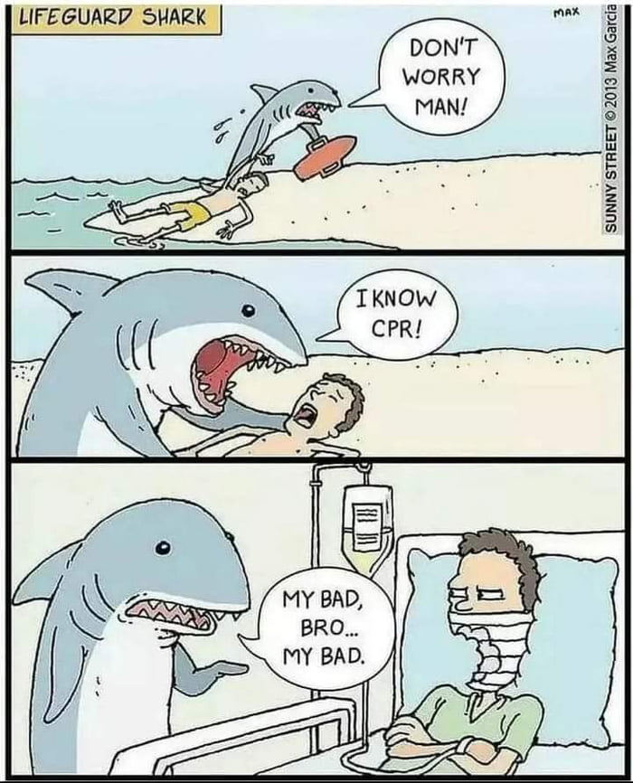 Lifeguard shark - 9GAG