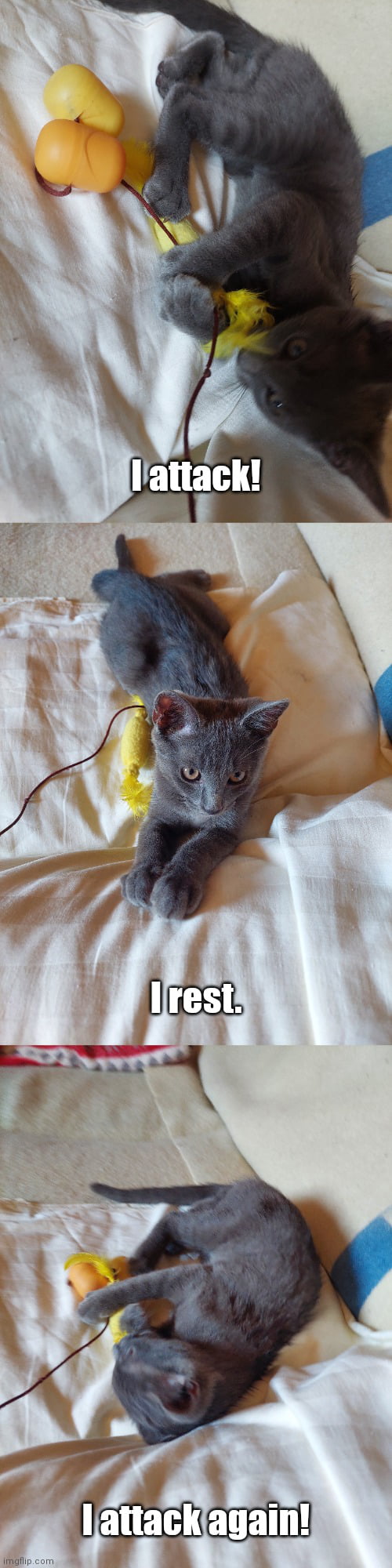 The neverending cycle - 9GAG