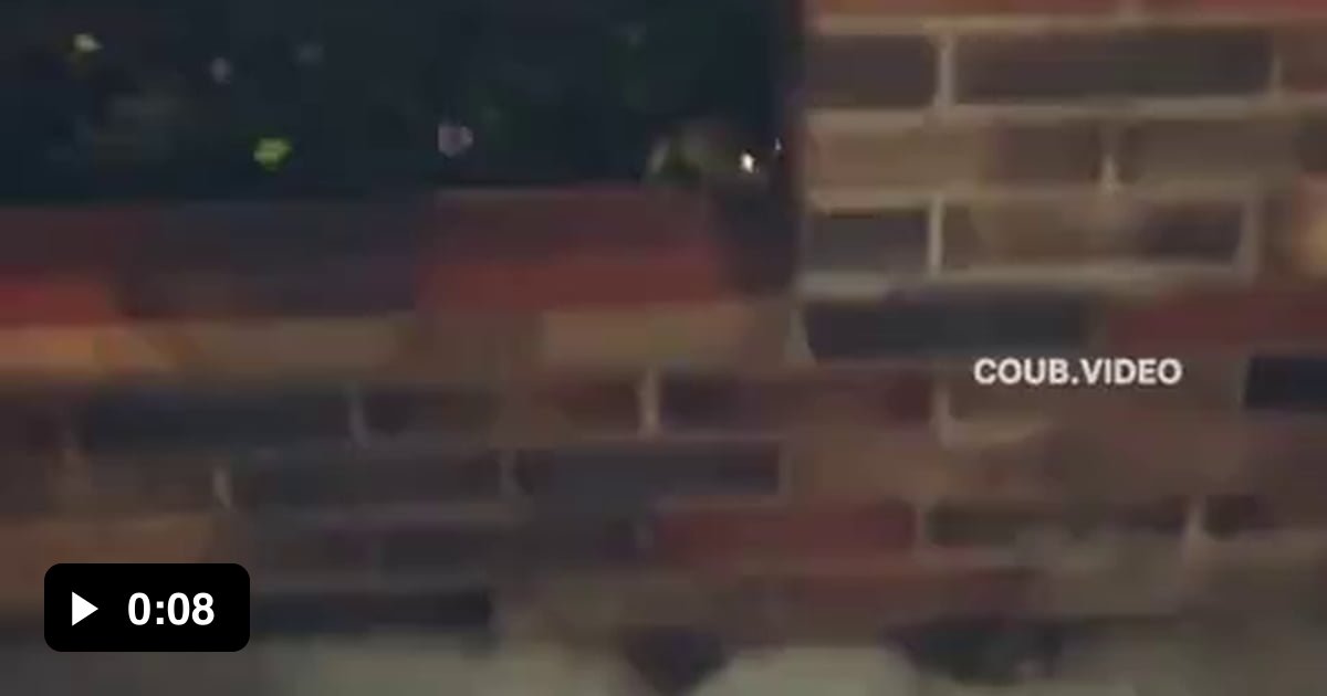 Mein Lieblingsfrosch: - 9GAG