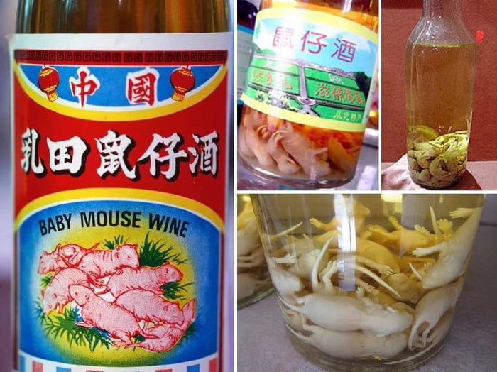 Baby mice wine is a traditional Chinese health tonic made by fermenting ...