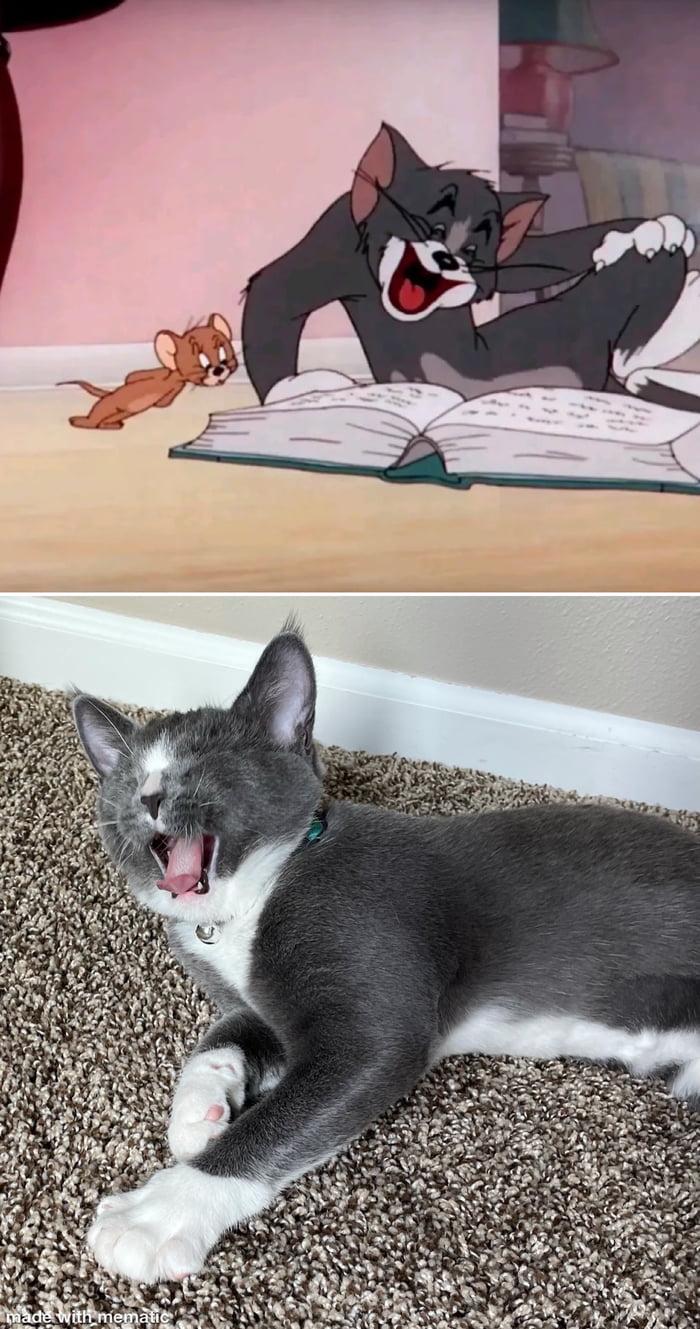 Real life Tom - 9GAG