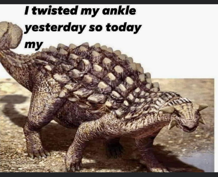 Better than a reptile dysfunction. - 9GAG