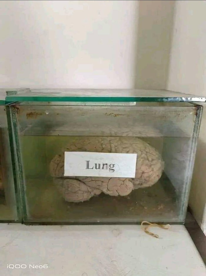 Labeling the organ! - 9GAG