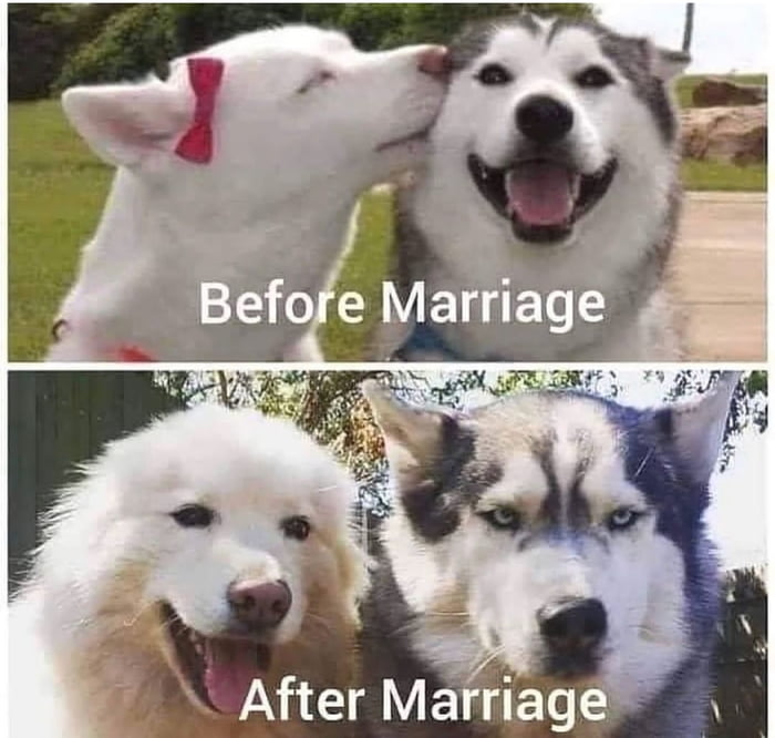 Wohoo im huskies - 9GAG