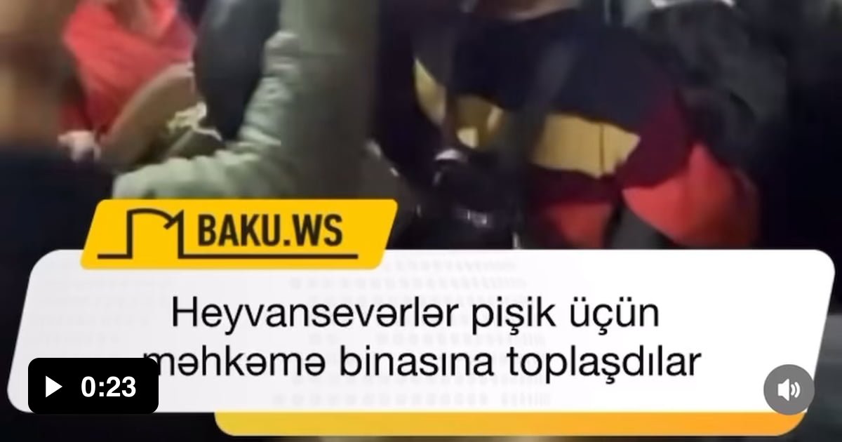 People trying to follow the trail of a cat killer in Istanbul, Turkey. RIP Eros - 9GAG