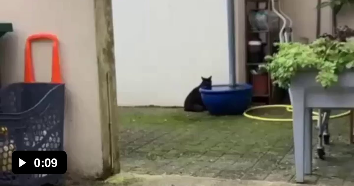 It's the most aggressive drinking of water - 9GAG