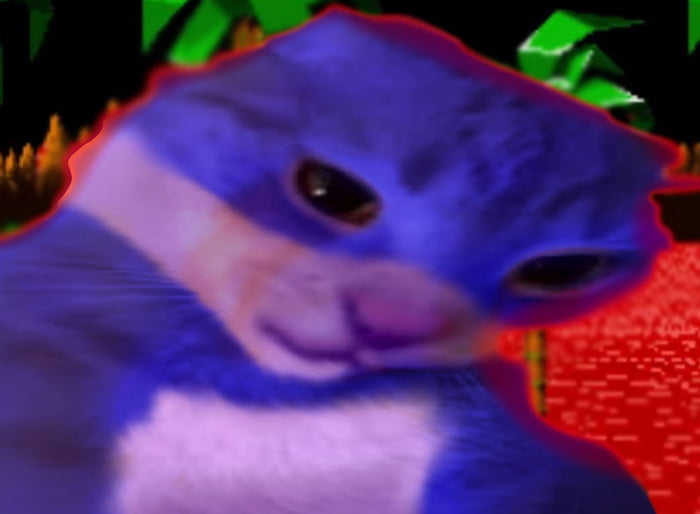 Cat.EXE bombastic criminal side eye - 9GAG