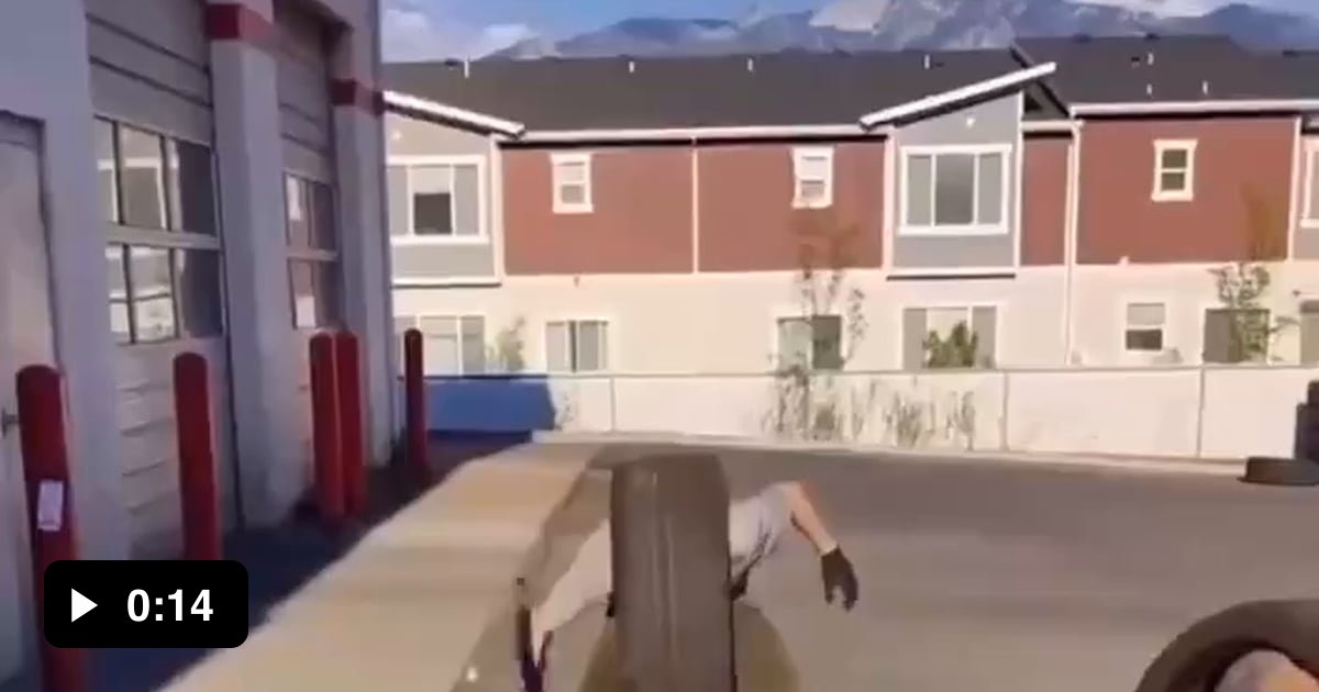 Fight till death... - 9GAG