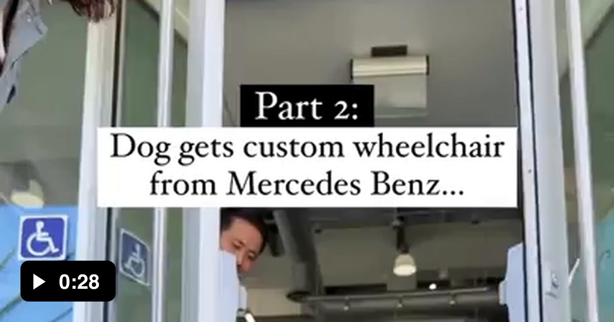 Dog gets custom wheelchair from Mercedes-Benz - 9GAG