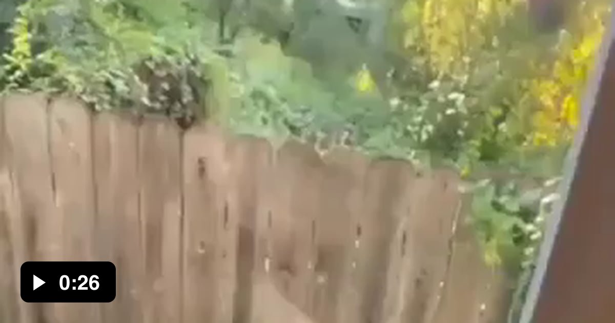 Hey Hector 👋 - 9GAG