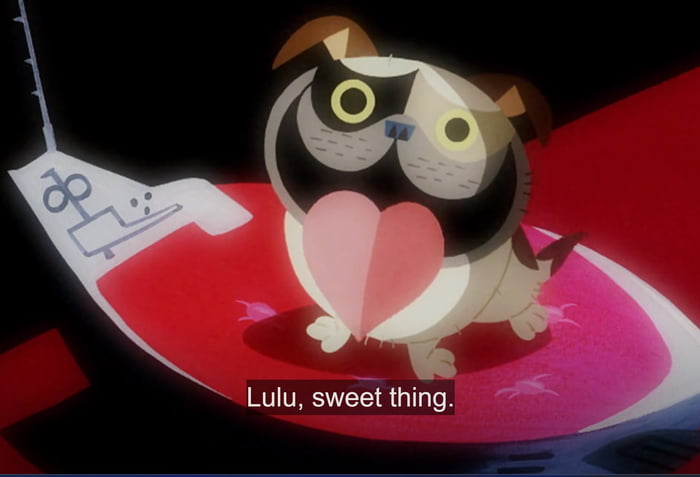 In loving memory of Lulu - 9GAG