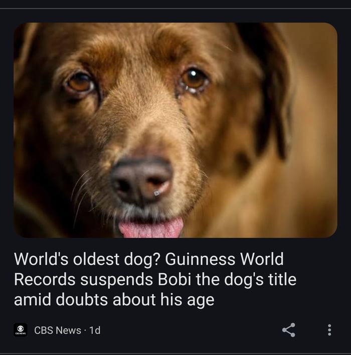 Sounds like a political commercial "is bobi even old? How many children ...