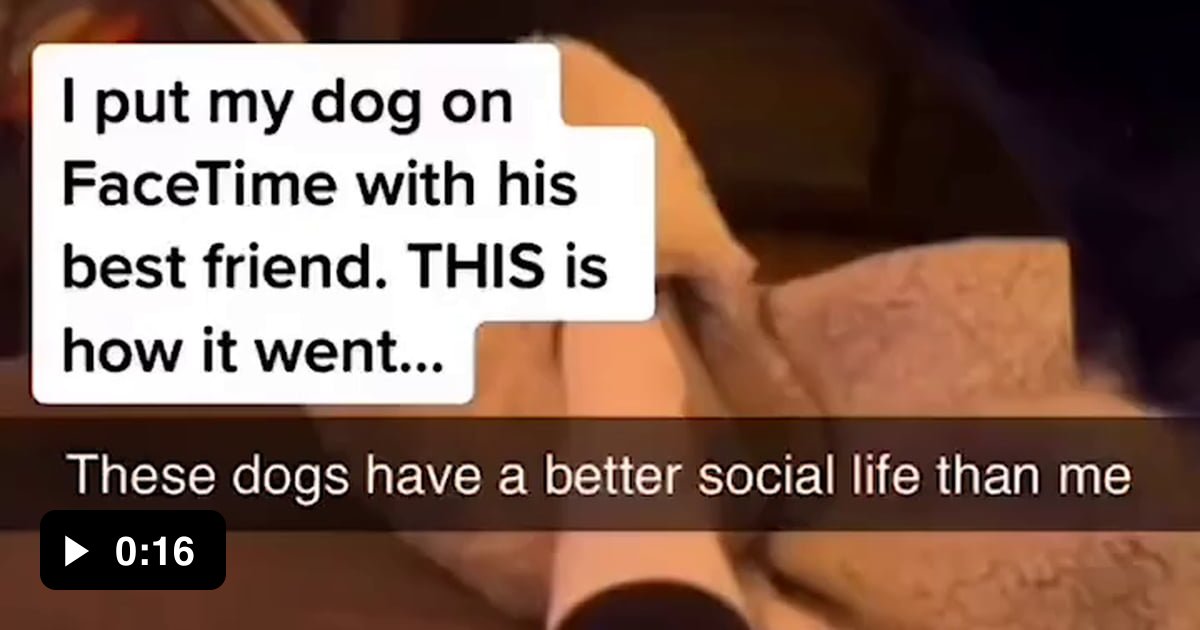 Facetime with best friend - 9GAG