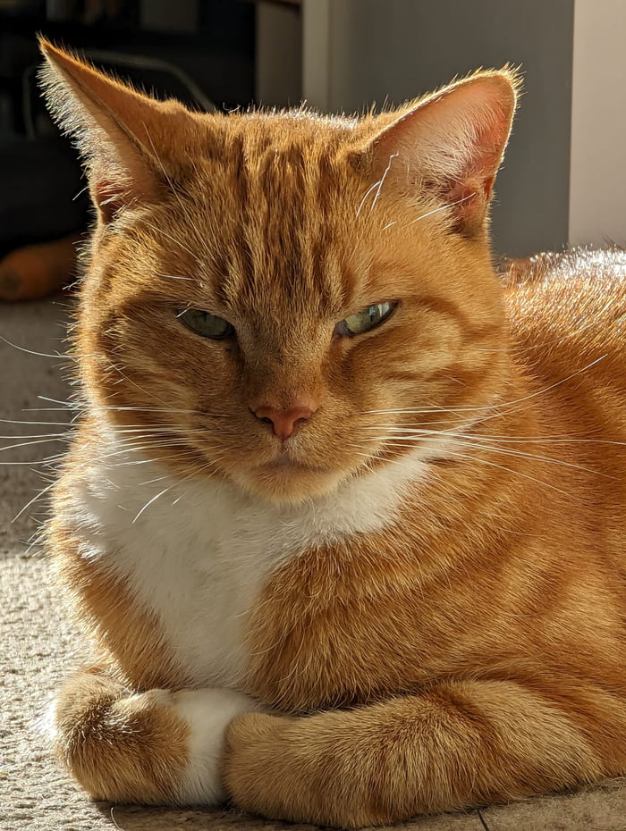 Handsome Arthur - 9GAG