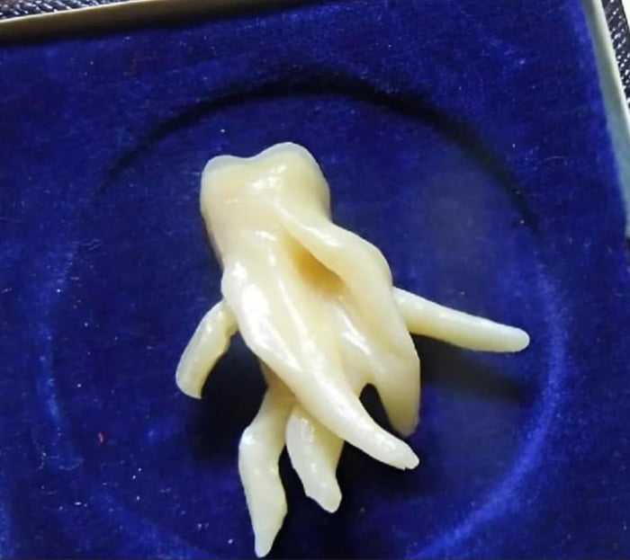 The tooth of wisdom, the cthulhu parasite - 9GAG