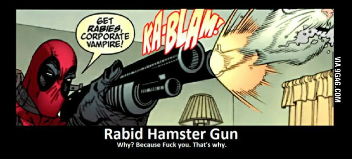 Rabid hamster launcher - 9GAG