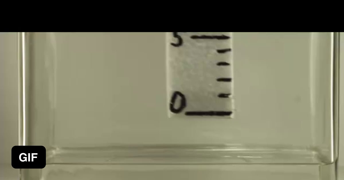 Dissolving 9 meters of styrofoam - 9GAG