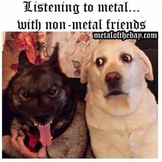All my friends are non-metal, but I am very metalhead - 9GAG