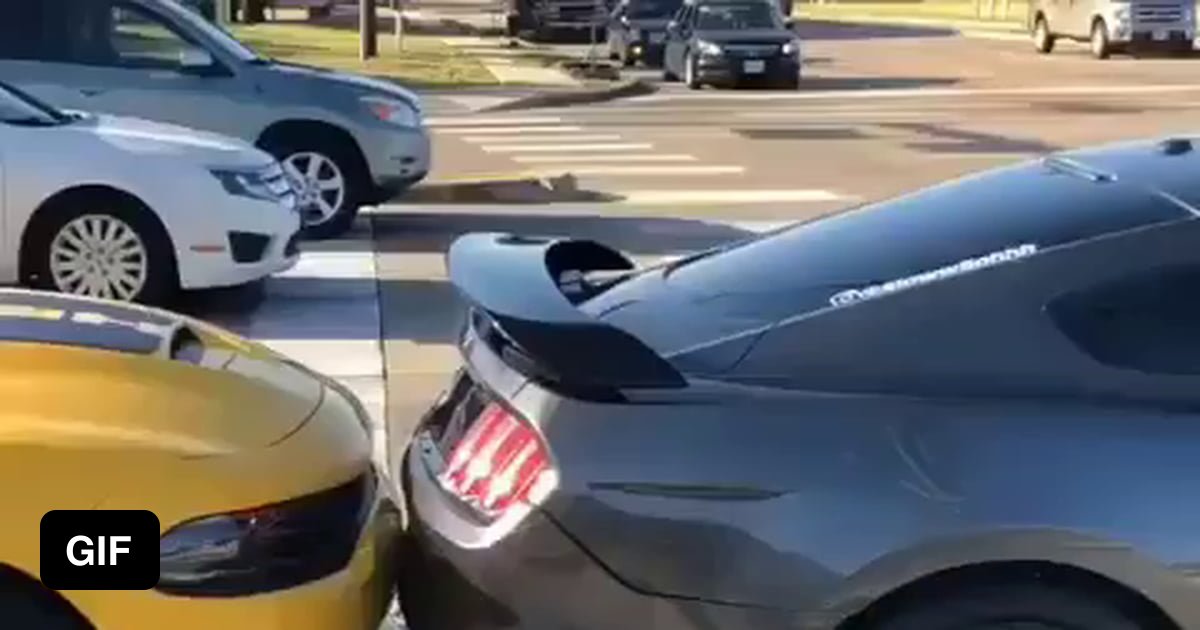 Dick measuring contest gone wrong - 9GAG