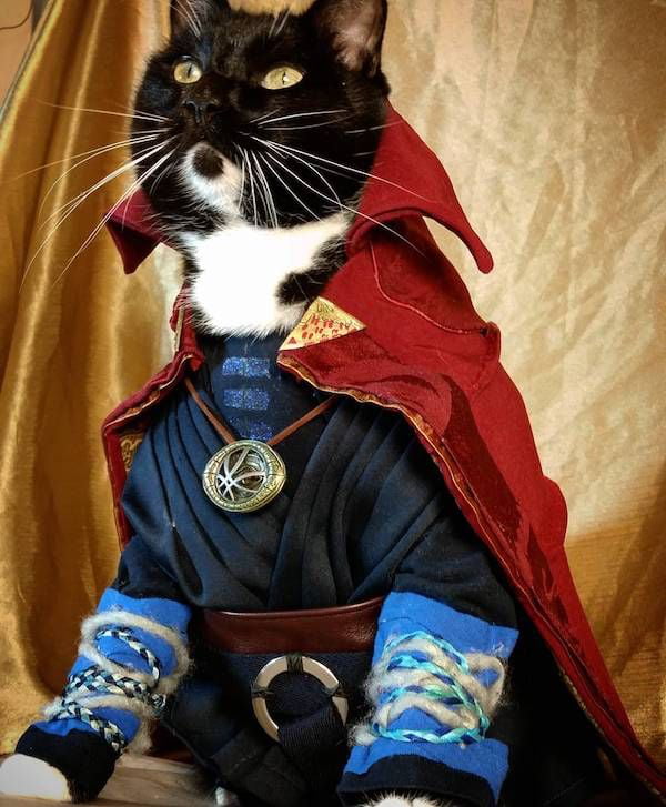 Dr. Strange Cat Cos-Play - 9GAG