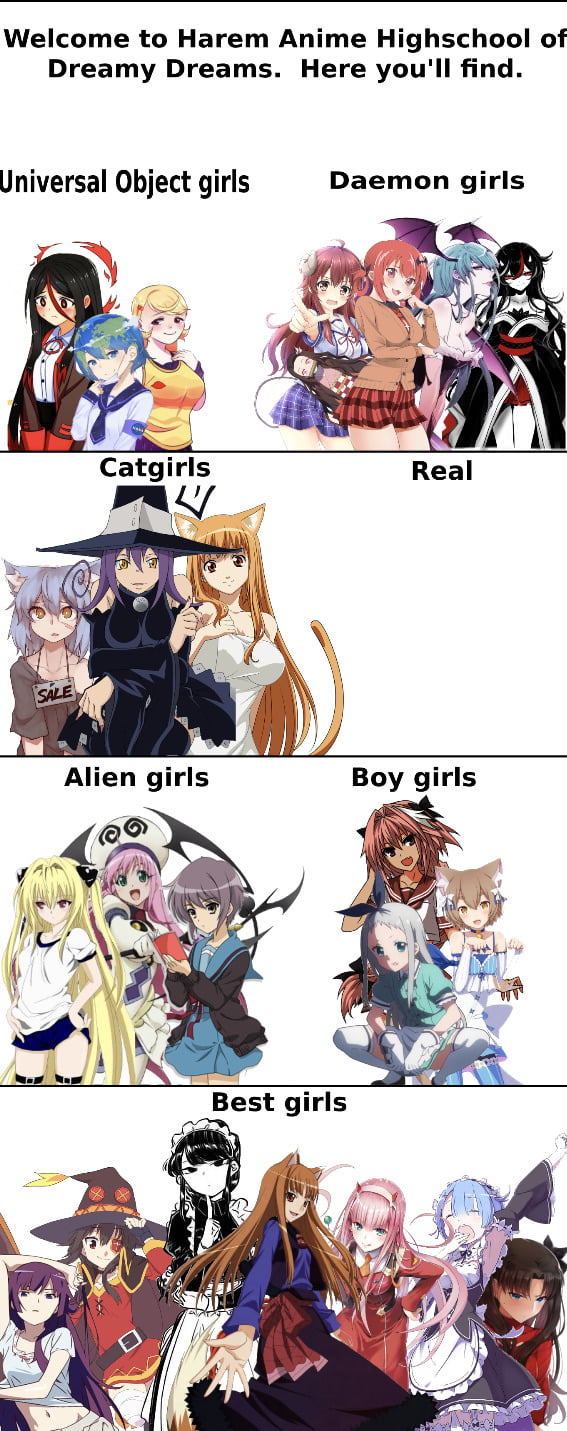 The best dream harem - 9GAG