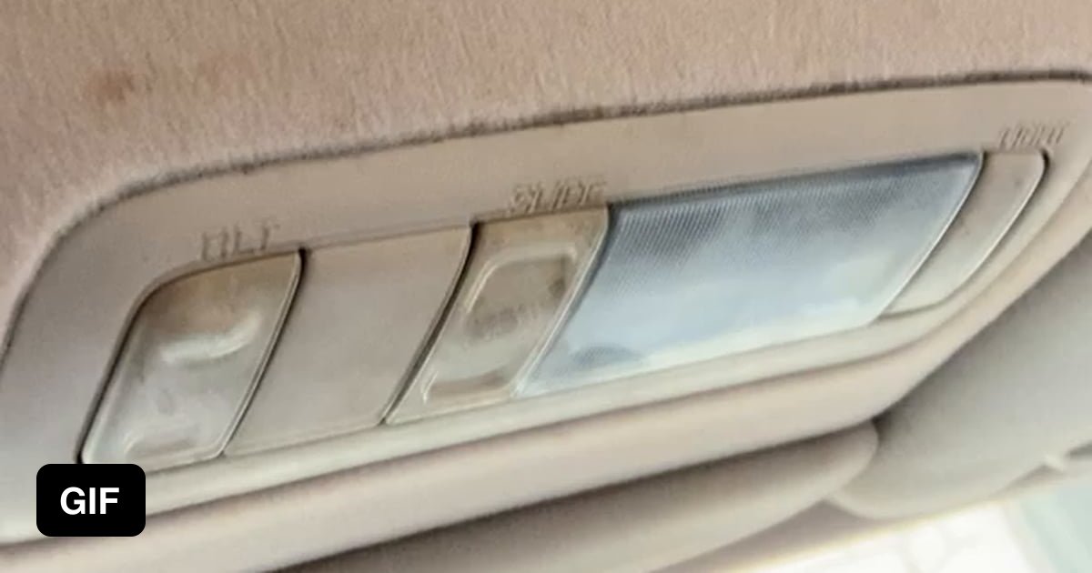 Feel like this belongs here. - 9GAG