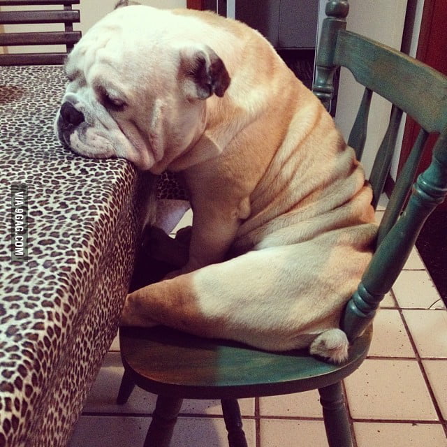 I eat because I'm sad, I'm sad because I eat - 9GAG