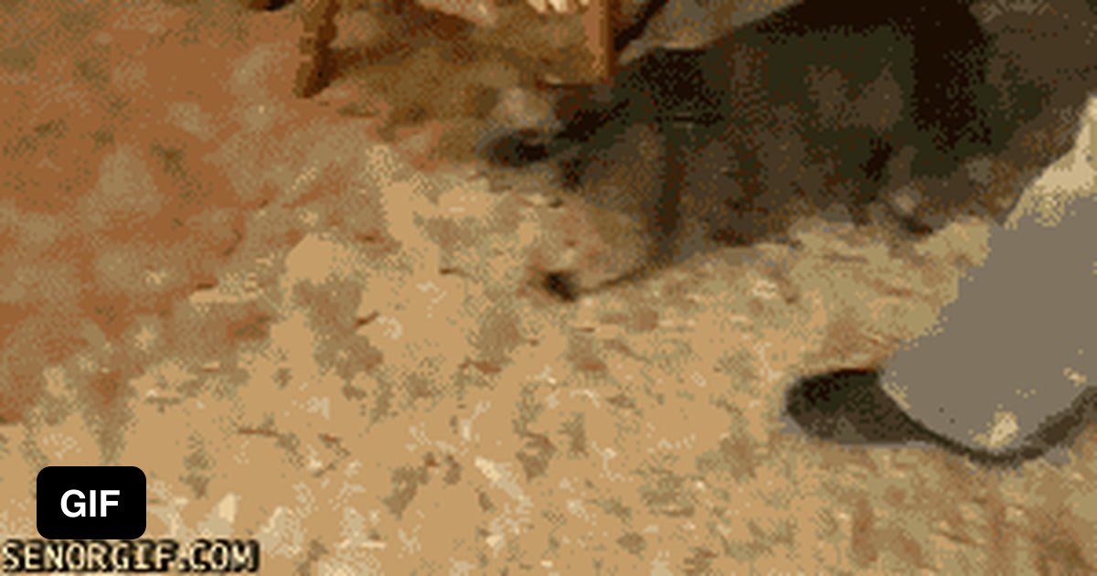 Get it off me! - 9GAG