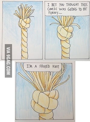 I'm a frayed knot - 9GAG