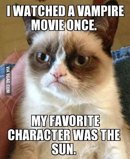 Relationship between grumpy cat and the sun - 9GAG