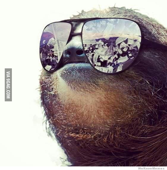 Cool Sloth is cool - 9GAG