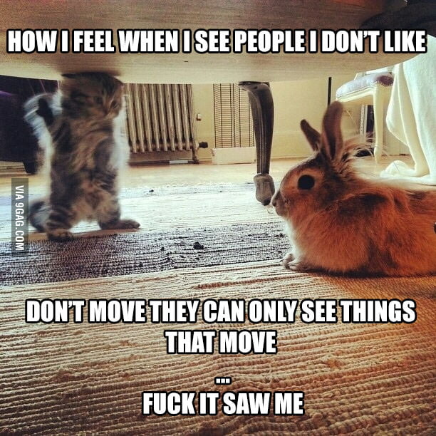 My life is so difficult. I want to be transparent. sometimes. - 9GAG