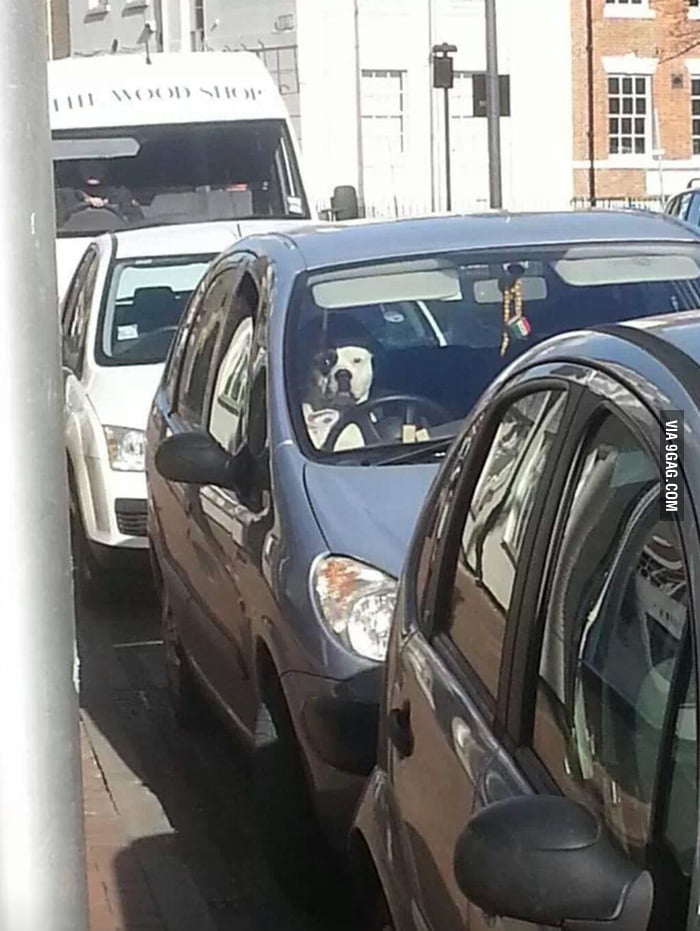 Damn Sunday traffic - 9GAG