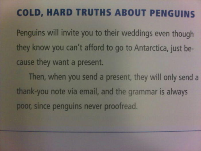 Penguins - 9GAG