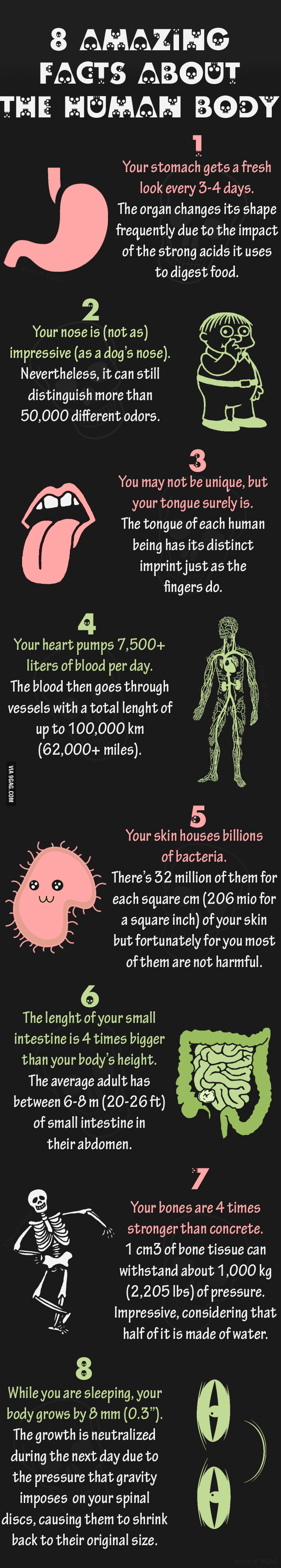 Amazing Facts About The Human Body 9GAG