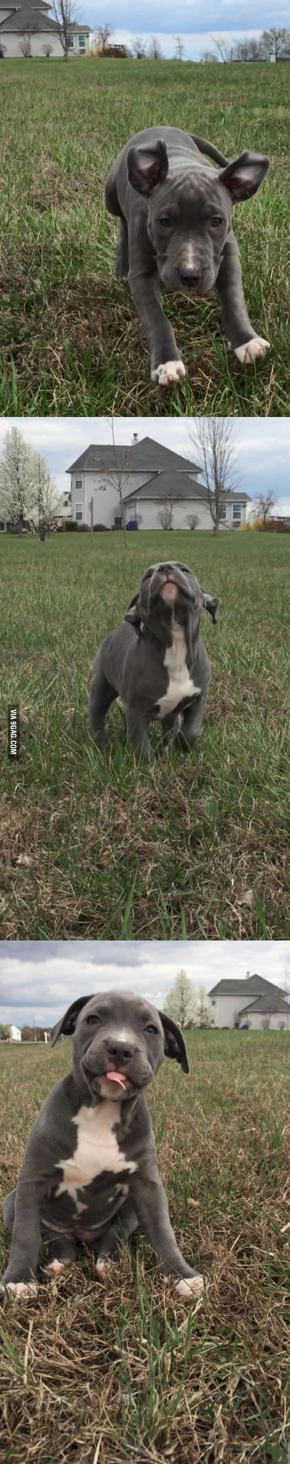 First Time Seeing Grass - 9GAG