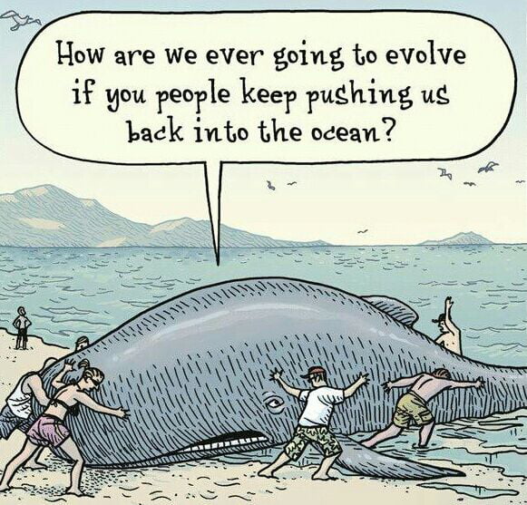 Stupid humans... - 9GAG