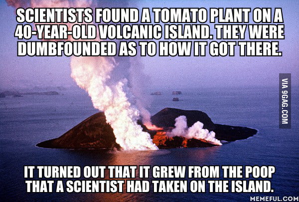 Pooping near a Volcano? That guy's a badass. - 9GAG