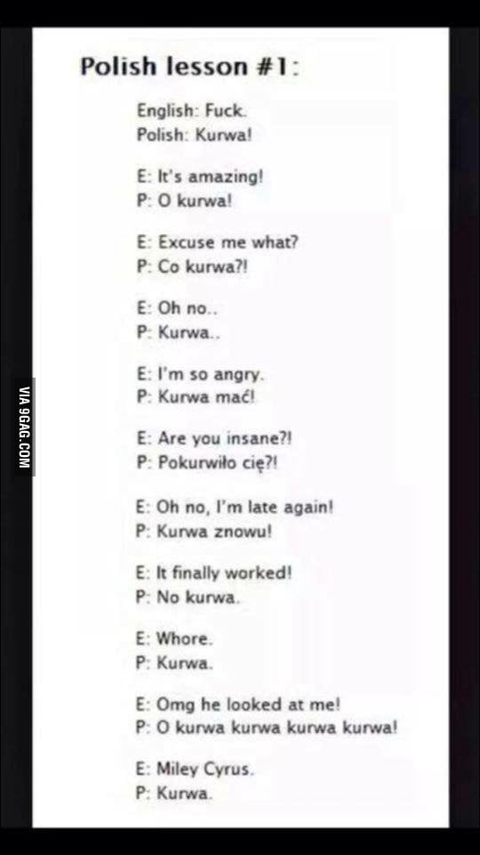Polish Kurwa Lesson 9gag