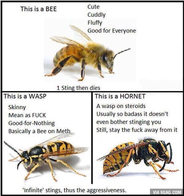 Yeah basically - 9GAG