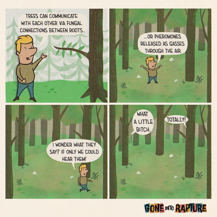 Listen to the Forest - 9GAG