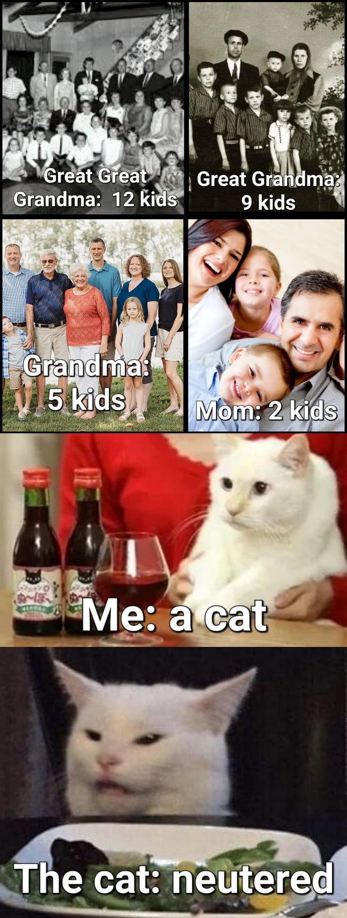 We've been having less children as generations pass and I think that's a good thing - 9GAG