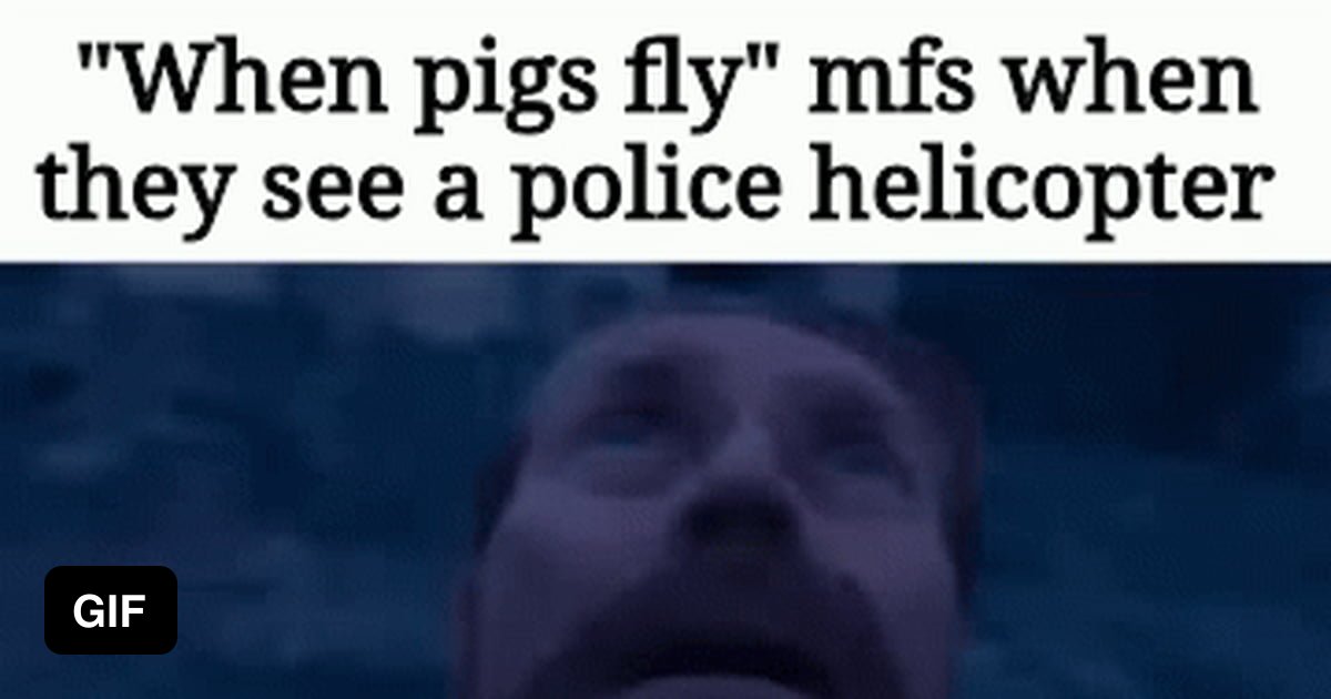 They fly now? - 9GAG