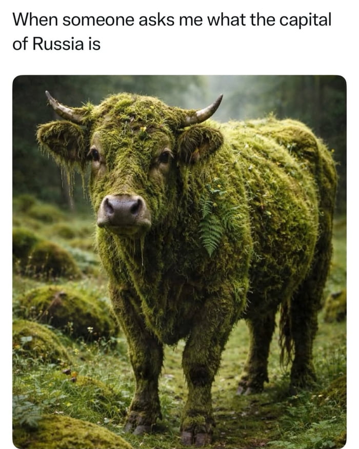Moss-cow, get it - 9GAG