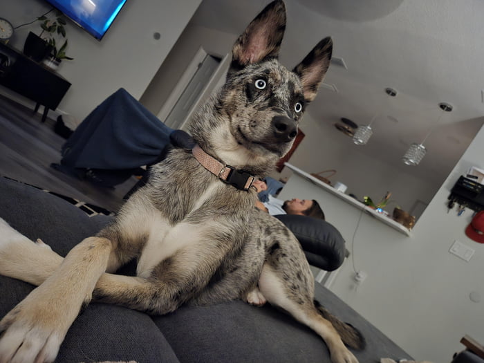 So prim and proper - 9GAG