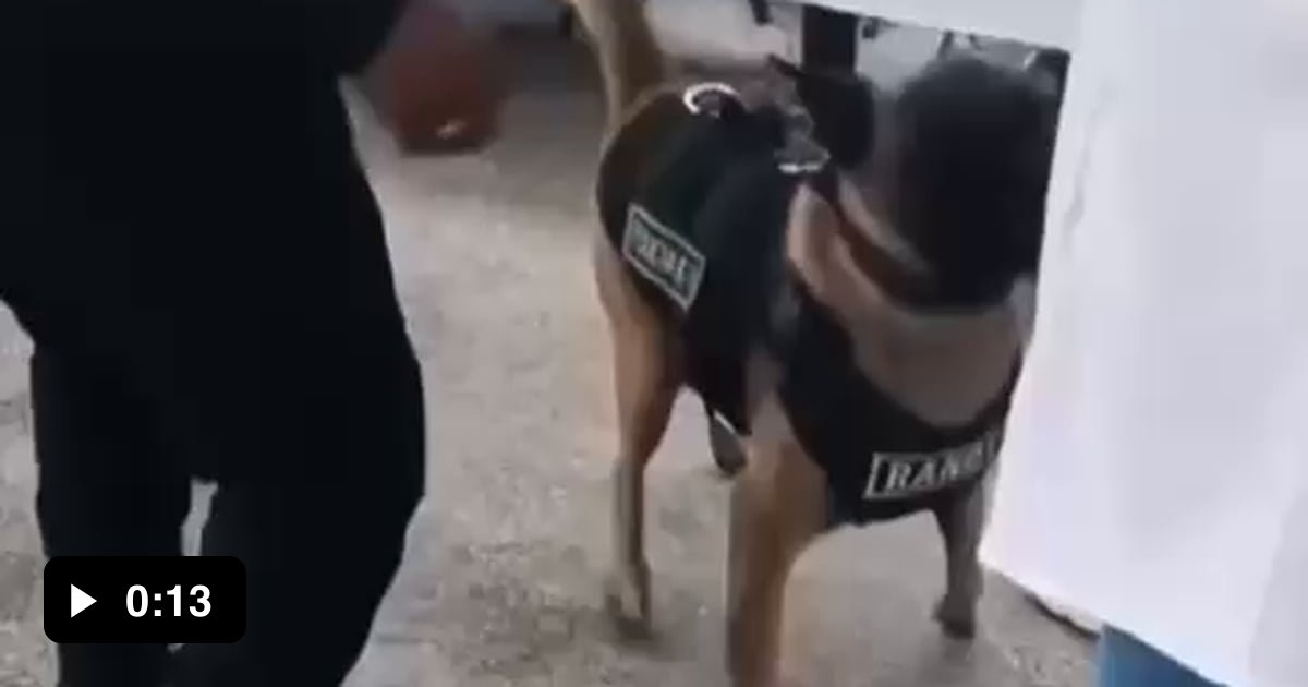 Are you going to tell them or should I? - 9GAG