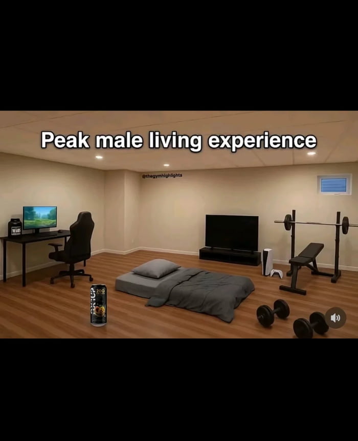 Living the dream, apparently. - 9GAG