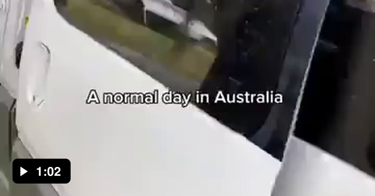 A normal day in Autralia - 9GAG