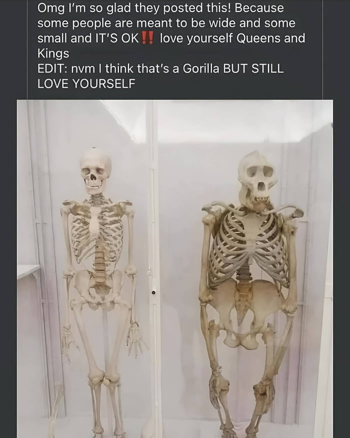 Finding inspiration in unexpected places, even if you misidentify the source. - 9GAG